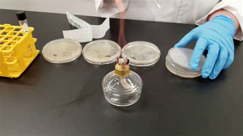 Mutation Caused By Uv Light Youtube