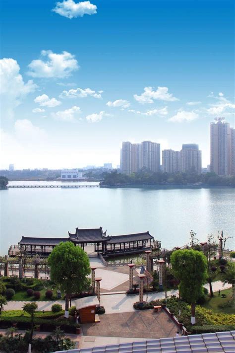 贵港港北区：接天莲叶无穷碧 港北荷花别样红 搜狐大视野 搜狐新闻