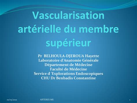 Solution Anatomie1an Vascularisation Arterielle Mb Sup2021belhoula