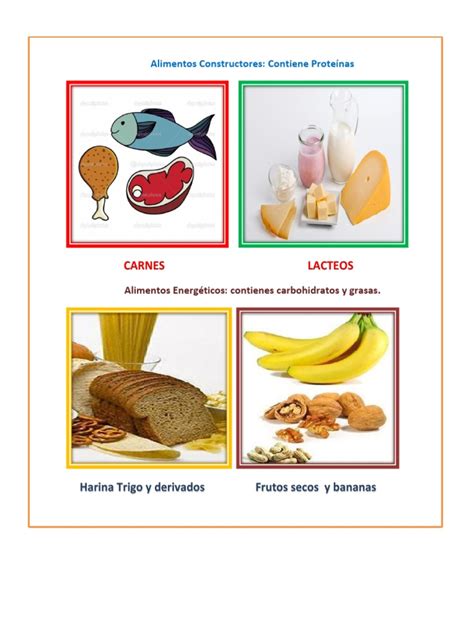 Alimentos Constructores Qué Son Cuáles Son Y Ejemplos Kyry