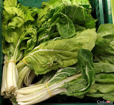 Blitva W Chorwacji Zielony Dodatek Do Potraw Crolovepl