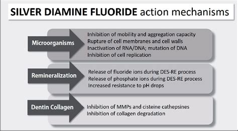 Figure 1 From The Use Of Silver Diamine Fluoride In Pediatric Dentistry