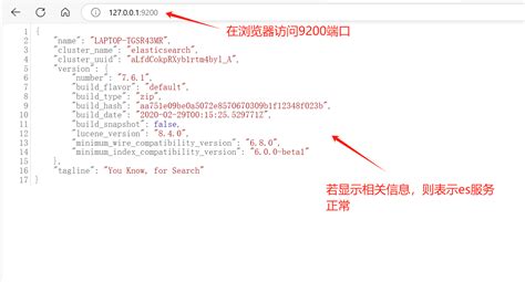 大型项目必备搜索神器，搜索引擎elasticsearch详细教程 elasticsearch教程 csdn博客