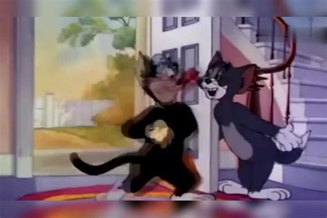 猫和老鼠：要是汤姆请你去帮它抓老鼠你会去吗？