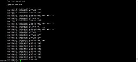 rop和rop2的题目的wp ropwp csdn博客