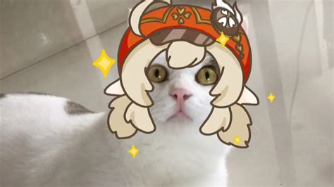 仔仔 哔哩哔哩 bilibili