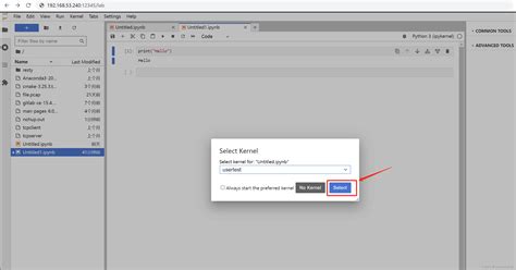 Linux服务器安装anaconda 配置远程jupyter Lab使用虚拟环境内网在linux上anaconda3安装并配置环境变量