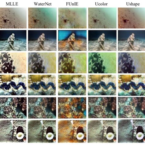 visual comparison on the underwater dataset the underwater images and