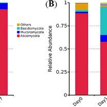Bacterial Community Structure Of Samples At Phylum Level And Genus