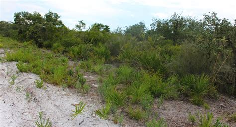 Untitled 15 Wildlife Management Areas Flickr