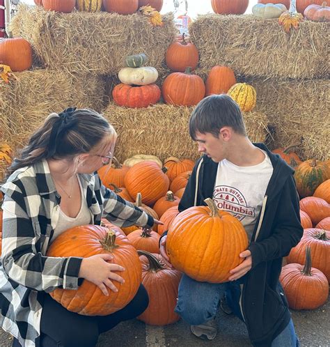 Chloe Grady Chloegrady • Instagram Photos And Videos