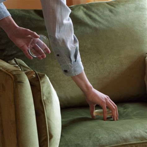 3 Plate Mold Test With Lab Analysis Immunolytics