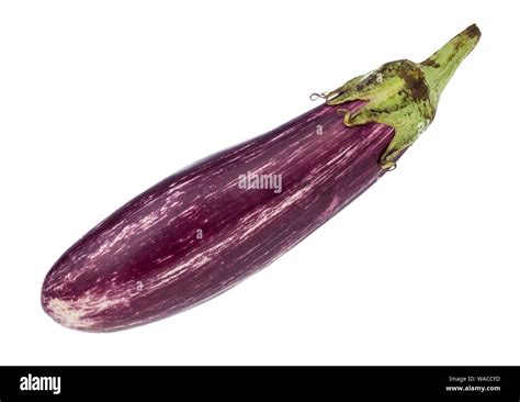 Ripe Fresh Long Striped Purple Eggplant Cutout On White Background