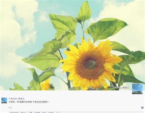 Html5仿微信朋友圈页面样式代码