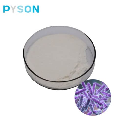 Pyson Supply Bacillus Subtilis Powder 300 Billion Cfu G High Quality