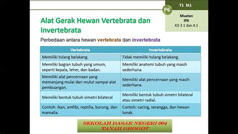 Ipa Alat Gerak Hewan Vertebrata Hewan Invertebrata Kelas Semester