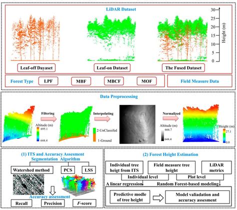 remote sensing mdpi on linkedin tree segmentation height leaf uav