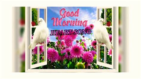 Hum Royenge Itna Hame Maloom Nahi Tha Mp4 Youtube