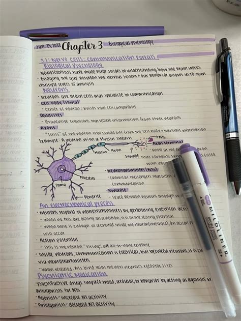 Neurons Study Flashcards Nurse Study Notes School Organization Notes