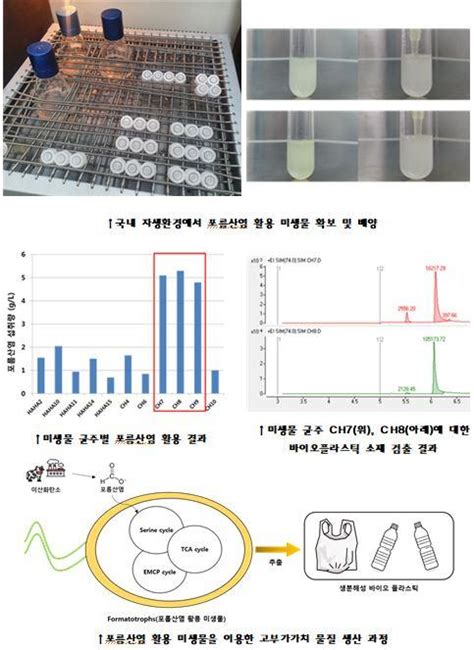 바이오플라스틱 생산 미생물 2종 분리 성공 소비자를위한신문 Consumertimeskorea