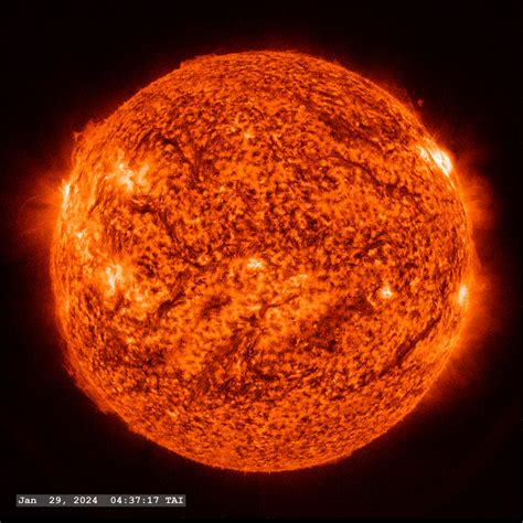 NASA SVS M6 8 Flare At Active Region 13559 January 29 2024