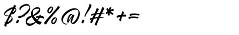 Bothering Script Regular Font Script Decorative What Font Is