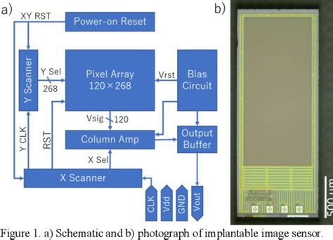 Figure 1 From Development Of Compact Readout Device For Neural
