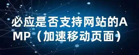 必应是否支持网站的AMP加速移动页面 王利头