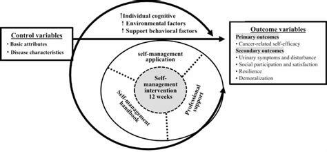 Intervention Research Framework Download Scientific Diagram