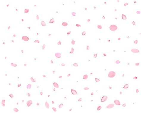 Sakura Texture Pngs For Free Download