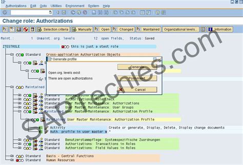 Pfcg Sap Roles And Authorizations Maintenance