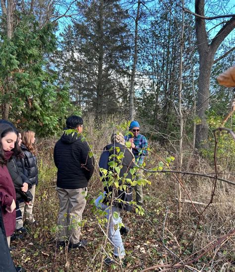 Dcdsb News