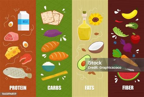 Set Of Main Food Groups Macro And Micronutrients Fats Fiber Or