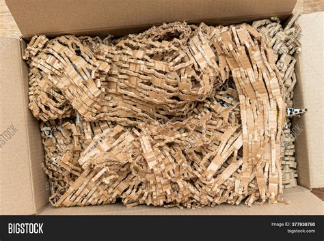 Shredded Cut Paper Image And Photo Free Trial Bigstock