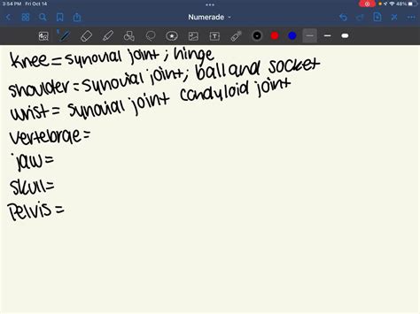 Solved Activity 1 Classifying Joints Fill In The Table Below To Give