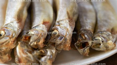 シシャモの写真素材 212207016 イメージマート