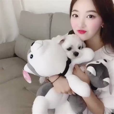 Cher2 Cher222573385 Twitter