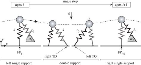 The Bipedal Spring Mass Model The Model Has Two Independent Massless Download Scientific