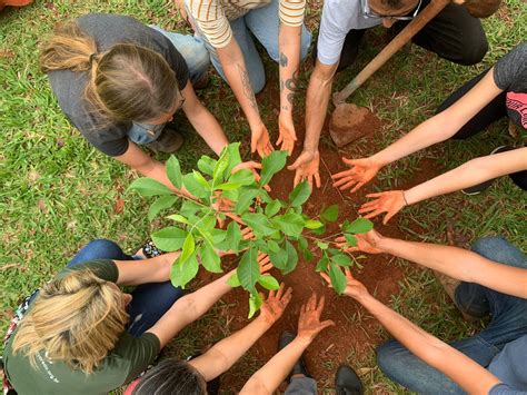 Empresas E Ongs Juntas Pelo Meio Ambiente Diário De Curitiba