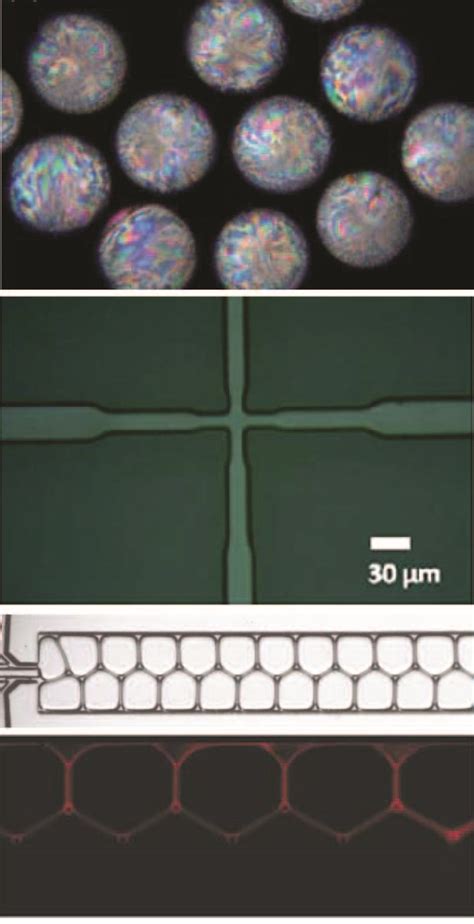 The Potential Of Microfluidics Soft Matter Blog
