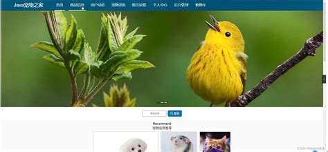 计算机毕业设计ssmjava宠物之家【附源码数据库】宠物之家源代码 Csdn博客