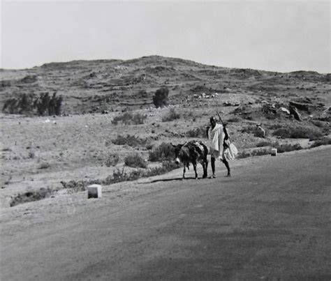 Pin By Lana Mitchell On Asmara Eritrea Asmara Eritrea