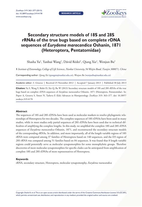 Pdf Secondary Structure Models Of 18s And 28s Rrnas Of The True Bugs