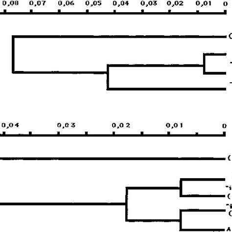 Ab Phenogram Using An Unweighted Pair Group Method With Arithmetic