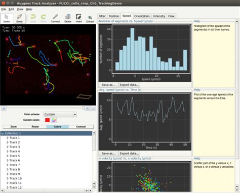 Huygens Deconvolution Cellular Imaging