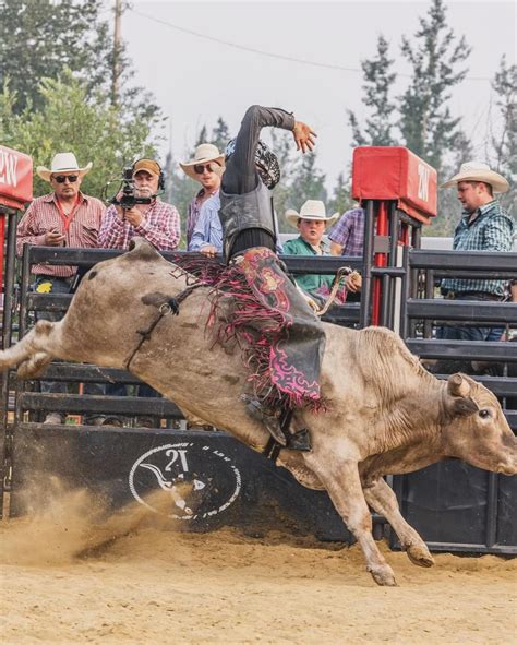 Liam Bishop Liambishop23 • Instagram Photos And Videos