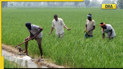 Kisan Credit Card Step By Step Guide To Apply For Kisan Credit Card Scheme
