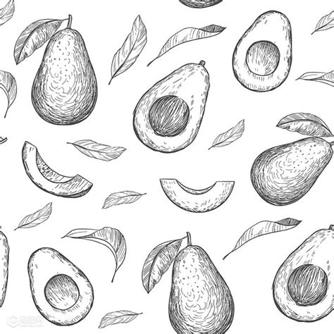 牛油果水果 单色素描手绘简笔画插画 插画 插画图形素材 酷图网