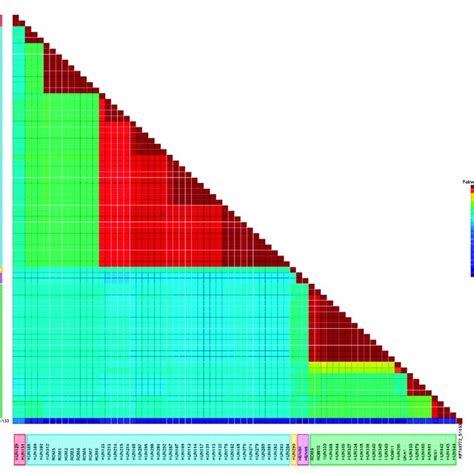 Unrooted Phylogenetic Tree Based On The 768 Bp Long Partial Nucleotide