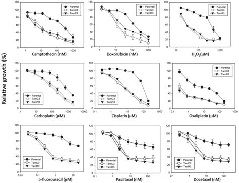 Growth Inhibitory Effect Of Drugs On MCF 7 And Its Sub Lines Cells